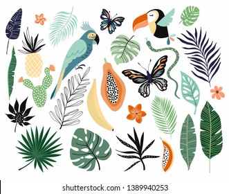 Tropical Abstract Elements Collection Isolated On Stock Vector (Royalty ...