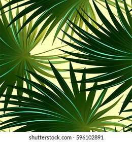 Cabbage palm Stock Vectors, Images & Vector Art | Shutterstock