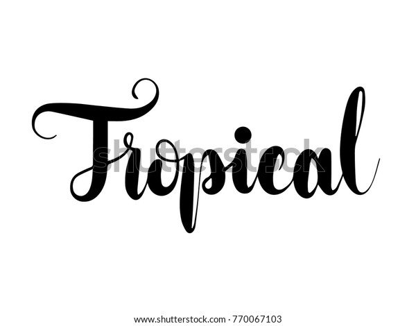 Tropical Calligraphy Hand Lettering Vector: เวกเตอร์สต็อก (ปลอดค่า ...