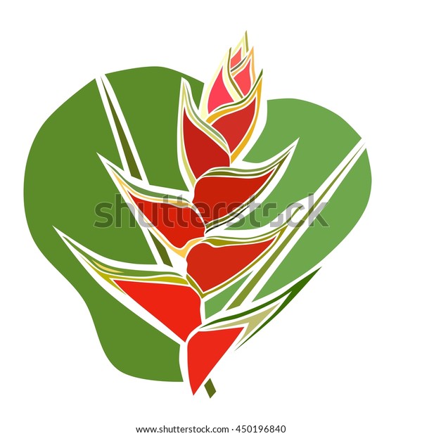 Tropical Flower Heliconia Isolated Vector Stock Vector (Royalty Free ...