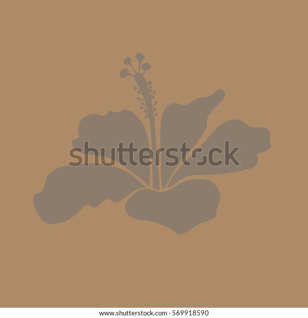 Tropical Icon Single Beige Hibiscus Flower Stock Vector (Royalty Free ...