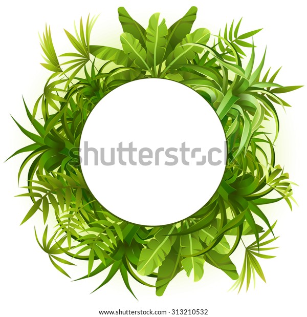 Tropical Jungle Stock Vector Royalty Free 313210532