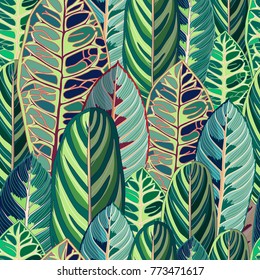 Tropical Jungle Leaf Vector Seamless Illustration Stock Vector (Royalty ...