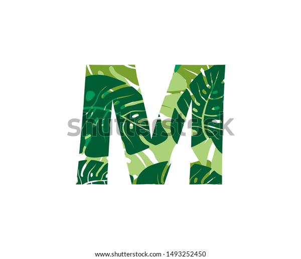 Tropical Jungle Vector Logo Letter M Stock Vector (Royalty Free ...