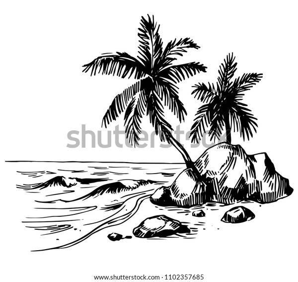 Tropical Landscape Palm Trees Hand Drawn Stock Vector (Royalty Free ...