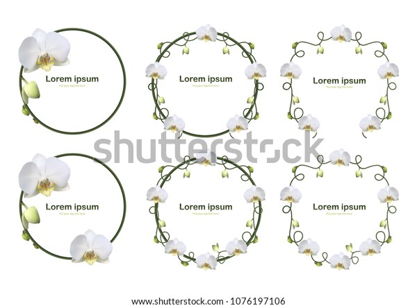 Tropical Round Branch Frames White Realistic Stock Vector (Royalty Free ...