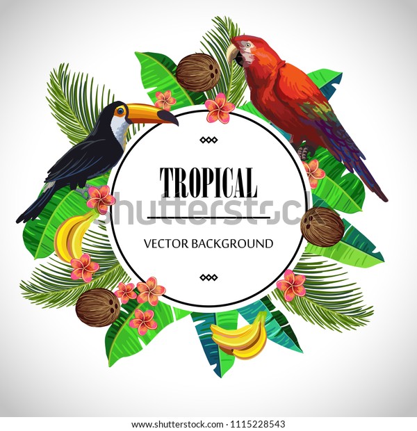Tropical Round Composition Bright Colorful Vector Stock Vector (Royalty ...