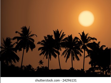 Tropical Sunset Palm Tree Silhouette 스톡 벡터(로열티 프리) 24296131 | Shutterstock