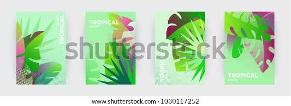 Tropical Themed Creative Covers Set Colorful Stock Vector (Royalty Free ...