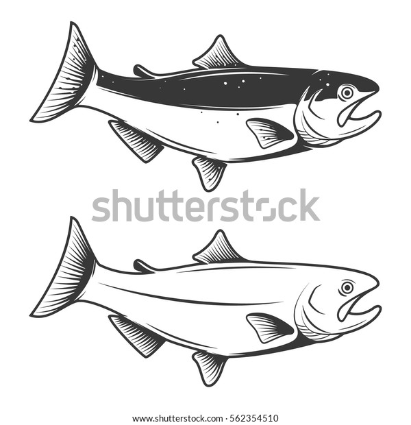 Trout Fish Icons Isolated On White Stock Vector (Royalty Free) 562354510