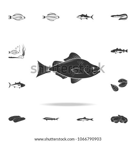 Trout Icon Detailed Set Fish Illustrations Stock Vector (Royalty Free ...
