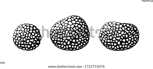 Truffle Logo Isolated Truffle On White Stock Vector (Royalty Free ...
