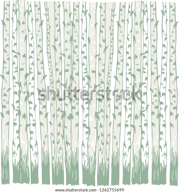 Trunks Birch Trees Grove Vector Illustration Stock Vector (Royalty Free ...