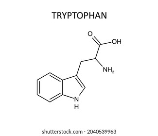 Tryptophan Chemical Formula Vector Editable Stock Vector (Royalty Free ...