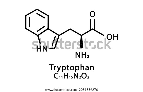 Tryptophan Molecular Structure Tryptophan Skeletal Chemical Stock ... Tryptophan Molecular Structure Tryptophan Skeletal Chemical Stock ...