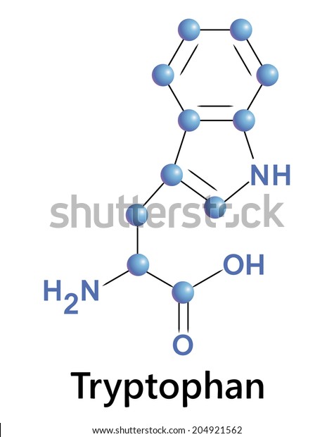 Tryptophan Molecule Structure Medical Vector Illustration Stock Vector ...