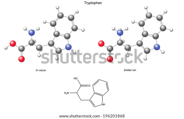 Tryptophan Trp Chemical Structural Formula Models Stock Vector (Royalty ... Tryptophan Trp Chemical Structural Formula Models Stock Vector (Royalty ...