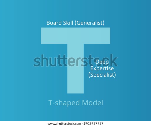 Tshaped Model Describe Abilities Persons Vector Stock Vector (Royalty ...