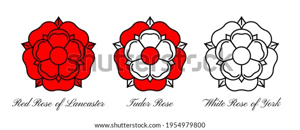 Tudor Rose Vector Isolated Icon Traditional Stock Vector (Royalty Free ...