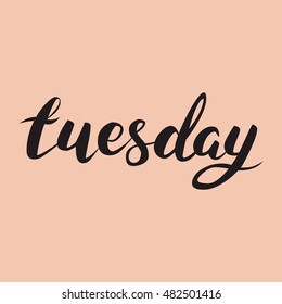 Tuesday Hand Lettered Calligraphy Writing Can: vector de stock (libre ...