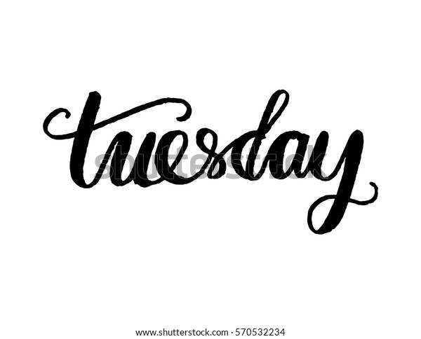 Tuesday Hand Lettered Quote Modern Calligraphy 스톡 벡터(로열티 프리) 570532234