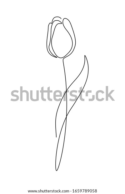 Tulip Flower Continuous Line Art Drawing Stock Vector (Royalty Free ...