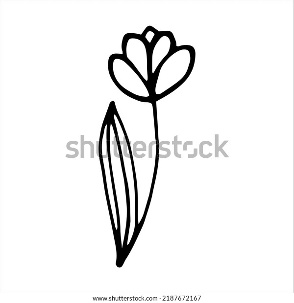 Tulip Flower Doodle Style Vector Illustration Stock Vector (Royalty ...