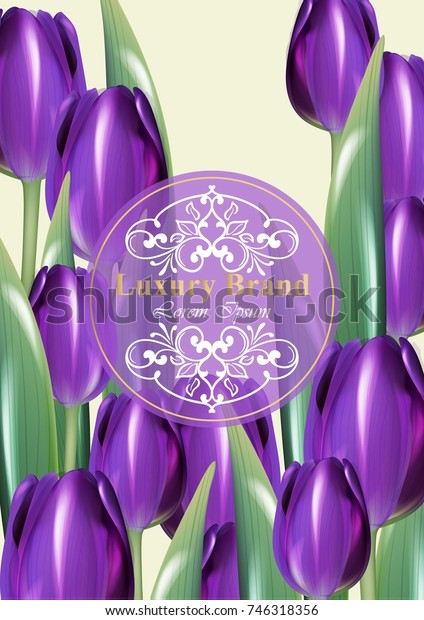 Tulip Flowers Card Frame Decor Vector Stock Vector (Royalty Free ...