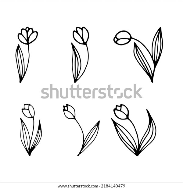 Tulips Flowers Doodle Style Vector Illustration Stock Vector (Royalty ...