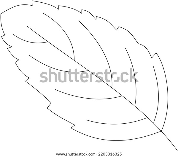 Tulsi Leaf Vector Icon Black White Stock Vector (Royalty Free ...