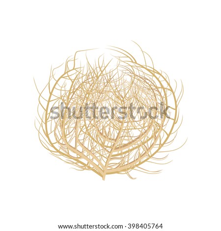Tumbleweed Vector Illustration Isolated On White Stock Vector (Royalty ...