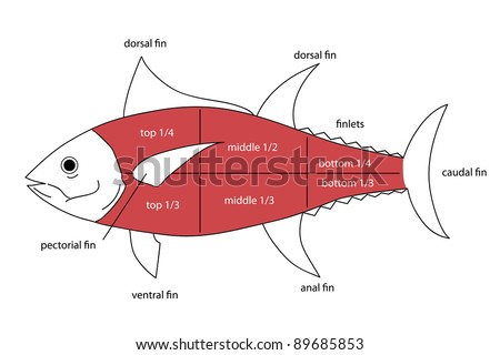 Tuna Fish Cutting Diagram Vector Graphic Stock Vector (Royalty Free ...