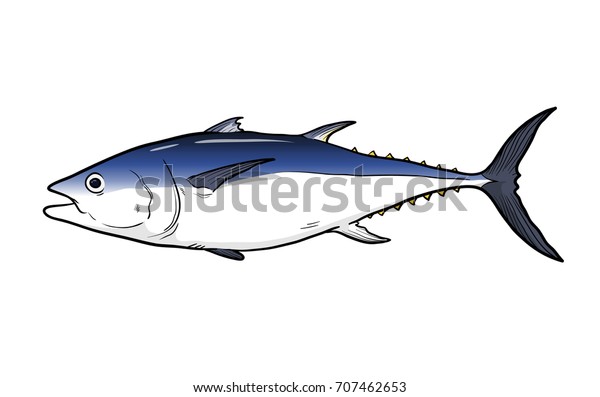 Tuna Fish Vector Illustration, a hand drawn vector cartoon illustration ...