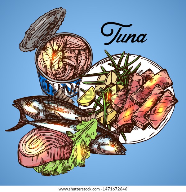 Tuna Sketch Vector Illustration Hand Drawn Stock Vector (Royalty Free ...