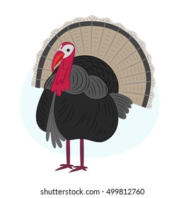 Turkey Bird Illustration Stock Vector (Royalty Free) 499812760 ...