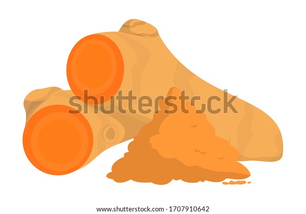 Turmeric Vector Isolated Fresh Herbal Ingredient Stock Vector (Royalty ...