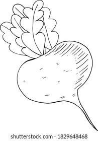 247 Vegan Label Turnip Images, Stock Photos & Vectors | Shutterstock
