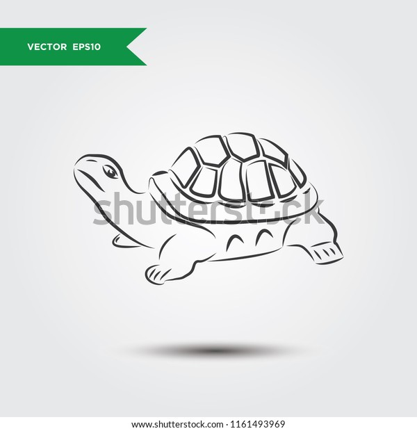 Turtle Graphic Design Template Stock Vector (Royalty Free) 1161493969 ...