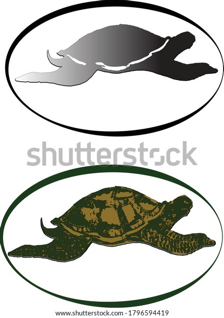 Turtle Logo Black White Dual Colour Stock Vector (Royalty Free ...