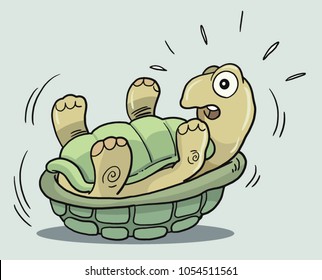 1,407 Green back turtle Images, Stock Photos & Vectors | Shutterstock