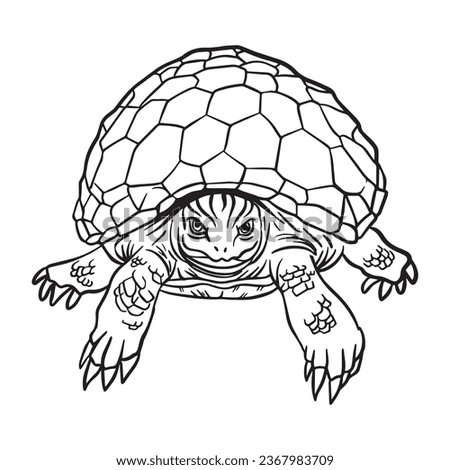 Hawaiian Turtle Outline | Free download on ClipArtMag