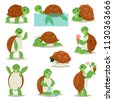 26,033 Turtle Shell Pattern Royalty-Free Images, Stock Photos ...
