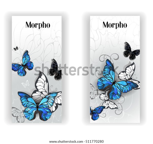 Two Banners Blue Butterflies Morpho Black: vetor stock (livre de ...