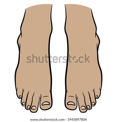 Cartoon Feet Images | Free download on ClipArtMag
