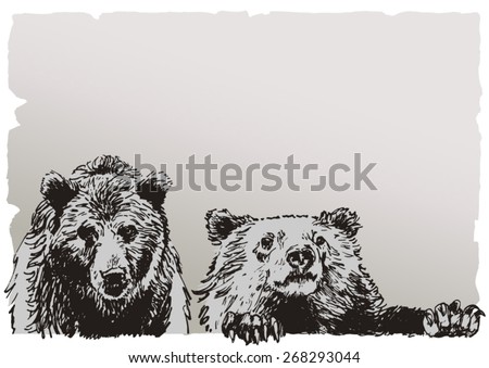 Two Bears Realistic Drawing On Old Stock Vector (Royalty Free ...