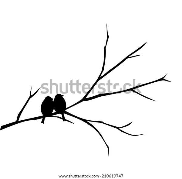 Zwei Vögel, die auf einem Ast-Vektor: Stock-Vektorgrafik (Lizenzfrei ...