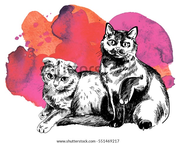 Two Cats Sitting Side By Side Stock Vector (Royalty Free) 551469217 ...