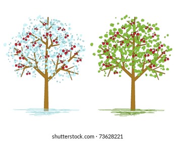 Two Cherry Trees Isolated On White: vector de stock (libre de regalías ...