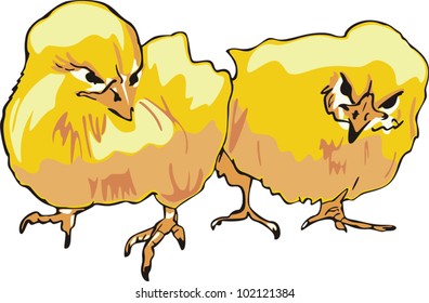 Two Chicks Color Vector Illustration Stock Vector (Royalty Free ...