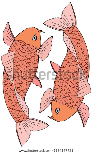 Two Colored Fish Swim Different Directions Stock Vector (Royalty Free ...